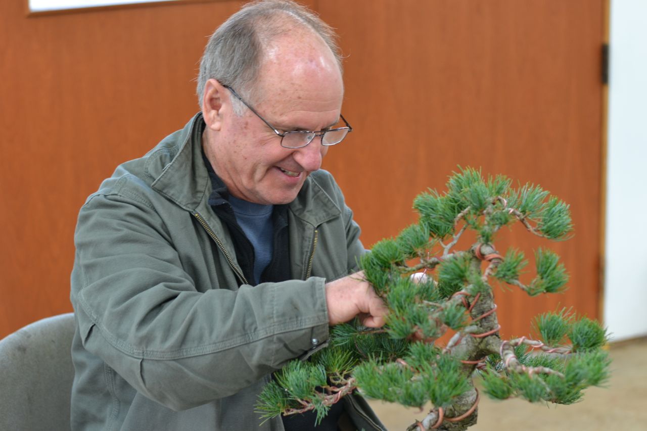 Wiring Lessons, Wayne Schoech, and Spruce | Michael Hagedorn