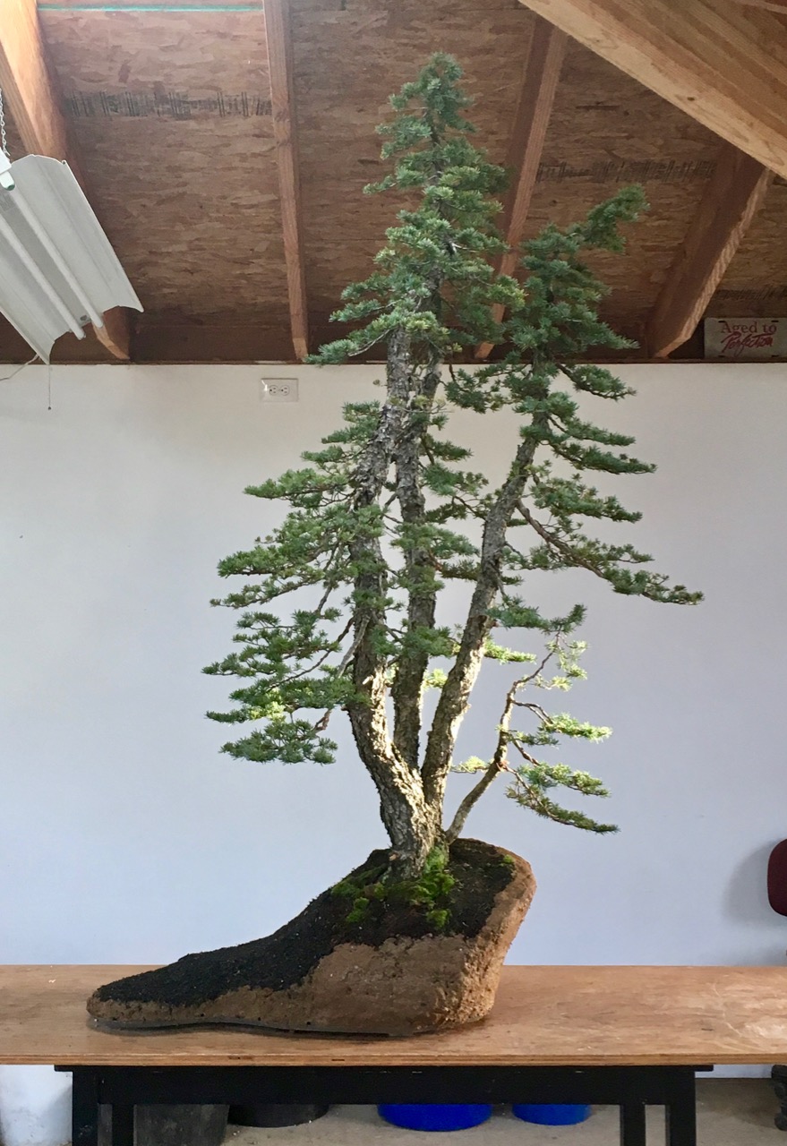 Minimalist Hemlock Styling~ | Michael Hagedorn